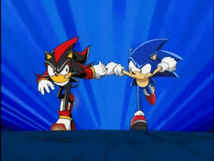 Why Are Sonic & Shadow Racing? (Wrong Answers Only.) | Fandom