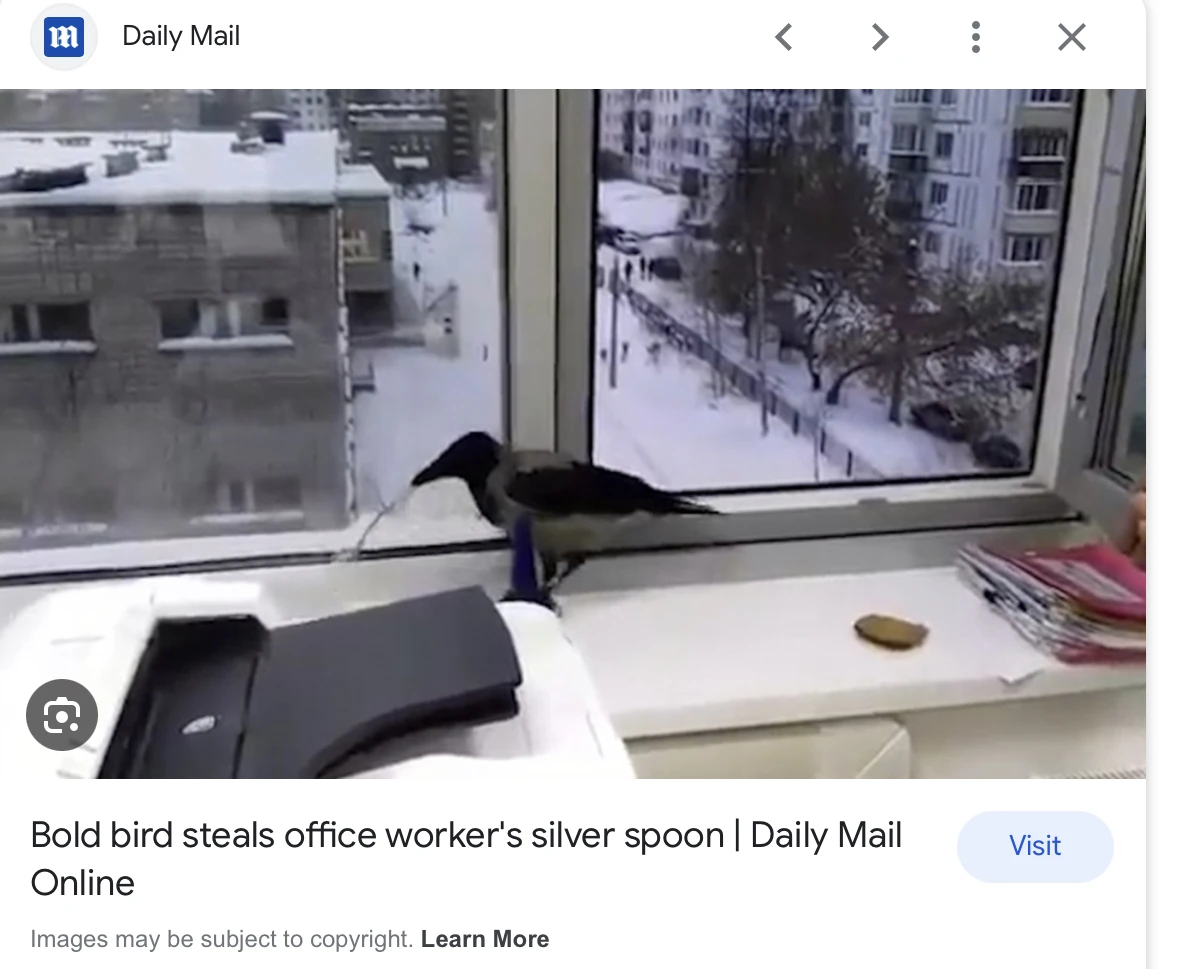 DARKXWOLF17 IS THAT YOU?!? | Fandom