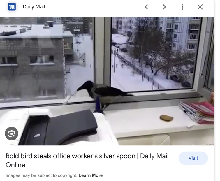 DARKXWOLF17 IS THAT YOU?!? | Fandom