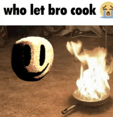 WHO LET BRO COOK | Fandom