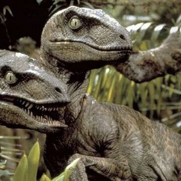 Who is your favourite raptor? | Fandom