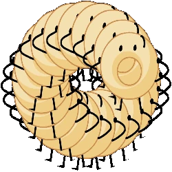 Donut of donuts | Fandom