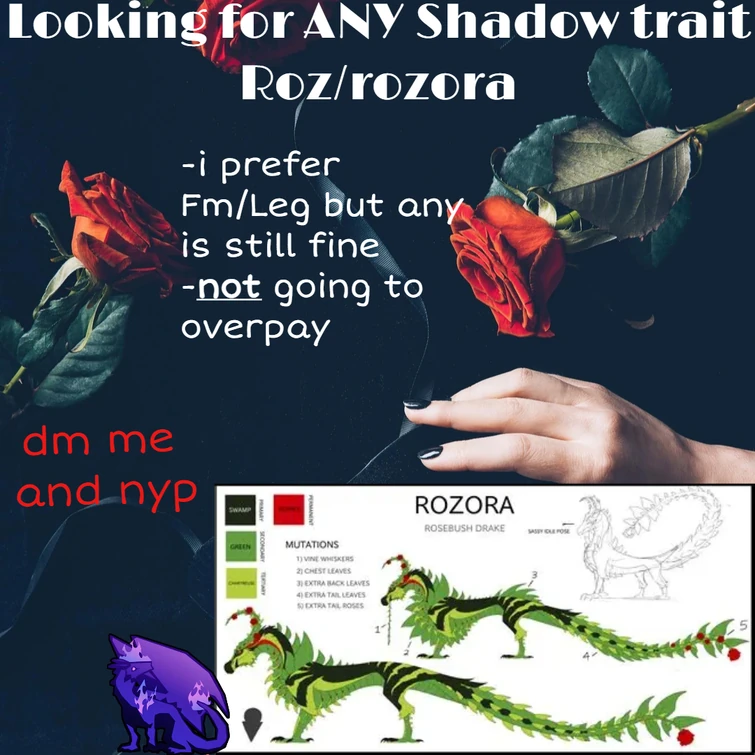 Discuss Everything About Dragon Adventures Wiki | Fandom