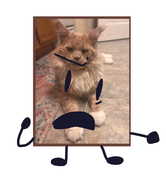 Cat Image | Ever-Autumn Duck Brawl Wiki | Fandom