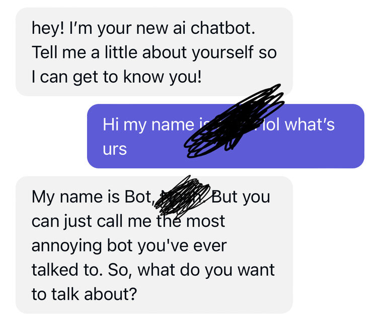 I Talked To The Worlds Most Annoying Chatbot About Taylor Swift Fandom