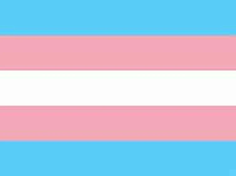 Flags? | Fandom