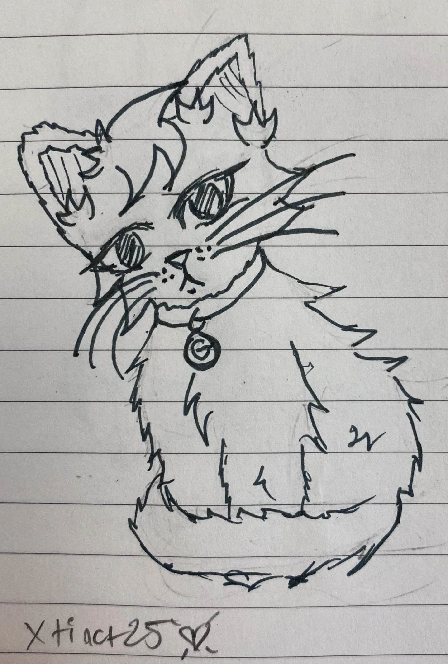 Cat Hashiras (Pt 1) (WIP) | Fandom