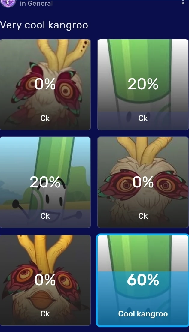 Kool kangroo | Fandom