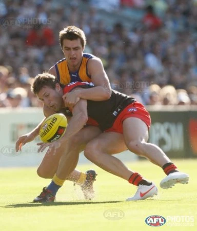 Fraser McInnes | West Coast Eagles Wiki | Fandom