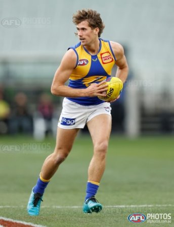 Connor West | West Coast Eagles Wiki | Fandom