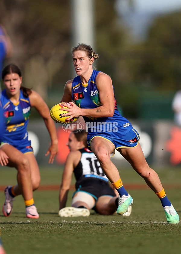 AFLW Round 6 2024 | West Coast Eagles Wiki | Fandom