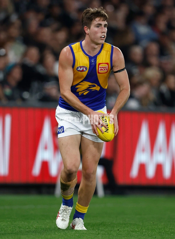 Jack Williams | West Coast Eagles Wiki | Fandom