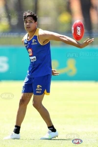 Anthony Treacy | West Coast Eagles Wiki | Fandom