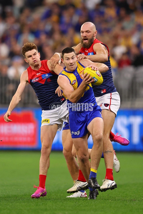 Round 8 2025 | West Coast Eagles Wiki | Fandom