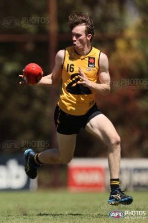 Will Collins | West Coast Eagles Wiki | Fandom