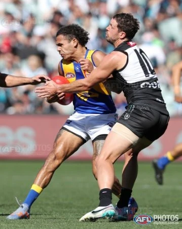 Round 6 2023 | West Coast Eagles Wiki | Fandom