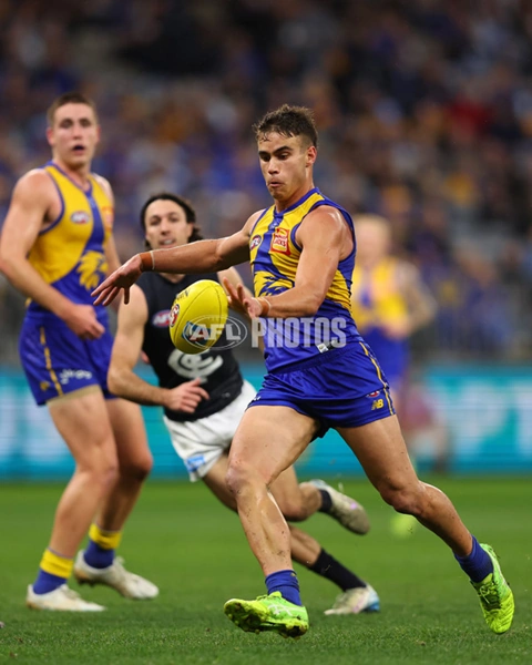 Round 14 2025 | West Coast Eagles Wiki | Fandom