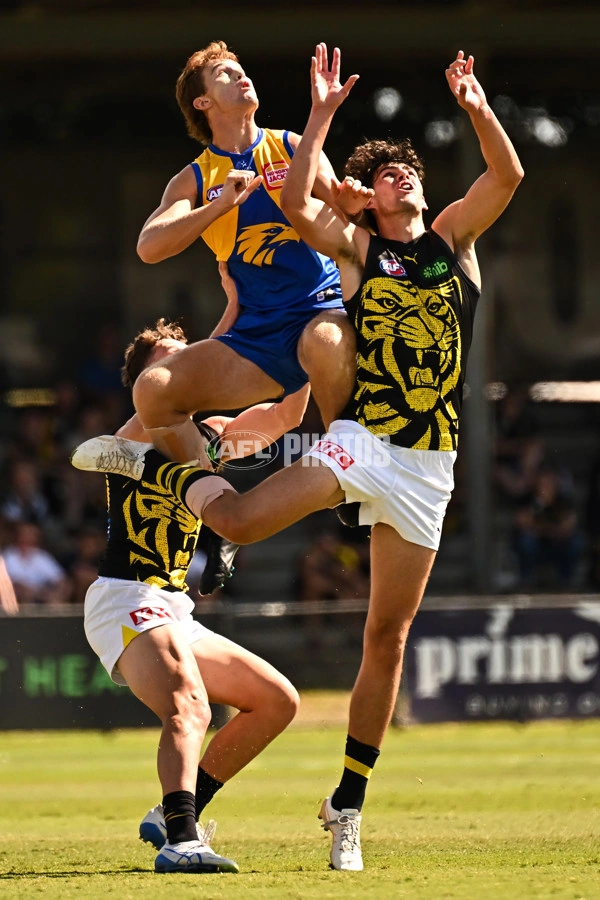 Pre-season 1 2025 | West Coast Eagles Wiki | Fandom