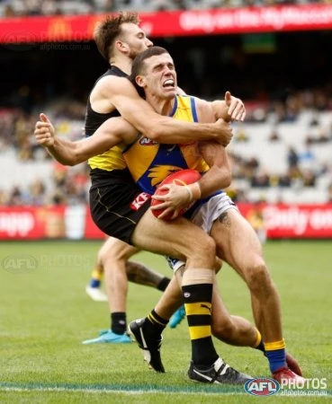 Round 8 2023 | West Coast Eagles Wiki | Fandom