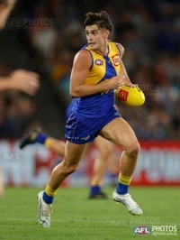 Patrick Naish | West Coast Eagles Wiki | Fandom