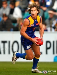 Matt Priddis | West Coast Eagles Wiki | Fandom