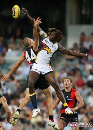 Pre-season 2010 | West Coast Eagles Wiki | Fandom