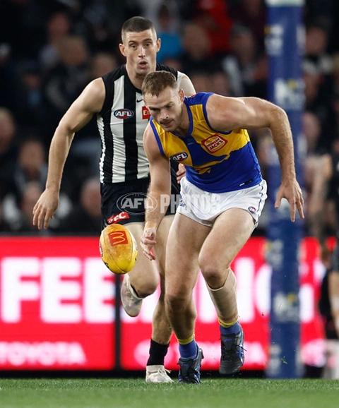 Round 16 2025 | West Coast Eagles Wiki | Fandom