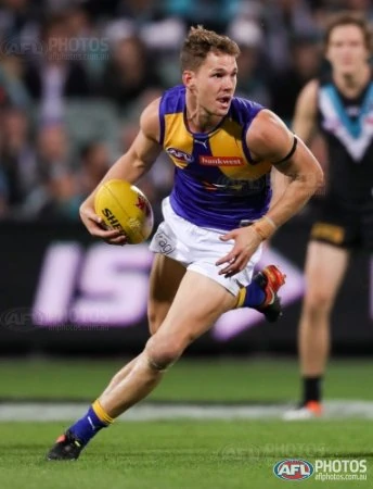 Round 7 2017 | West Coast Eagles Wiki | Fandom