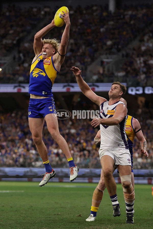 Round 6 2024 | West Coast Eagles Wiki | Fandom