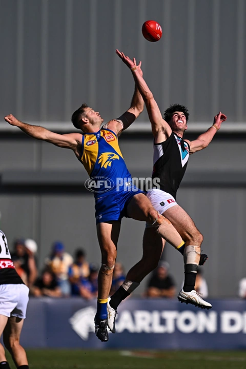 Pre-season 2 2026 | West Coast Eagles Wiki | Fandom