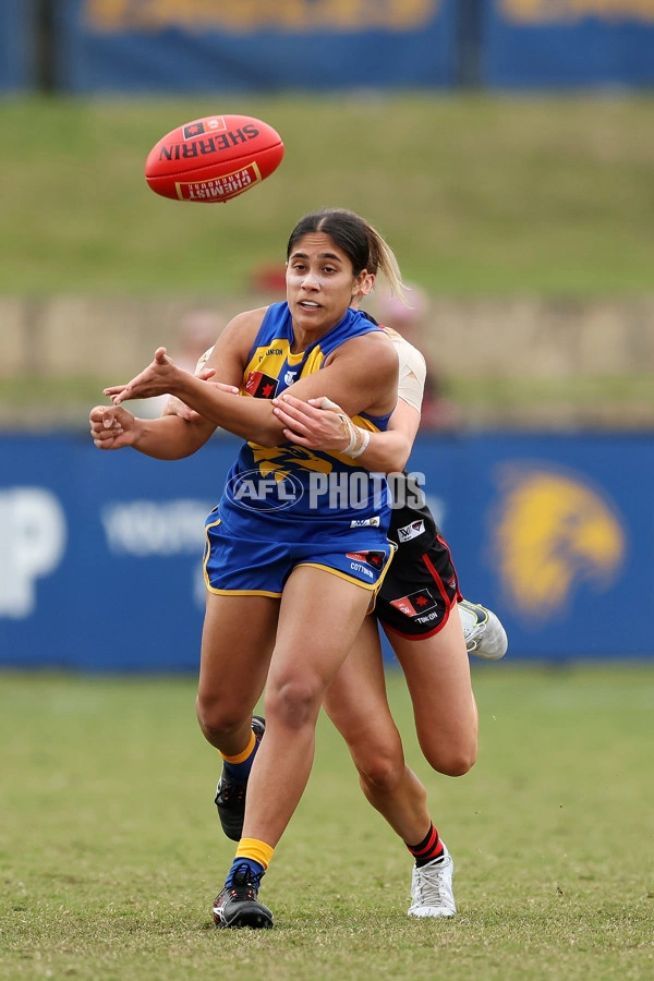 Emily Elkington | West Coast Eagles Wiki | Fandom