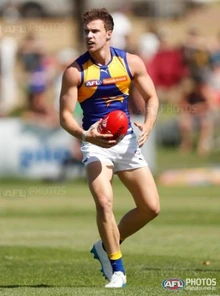 Jordan Snadden | West Coast Eagles Wiki | Fandom