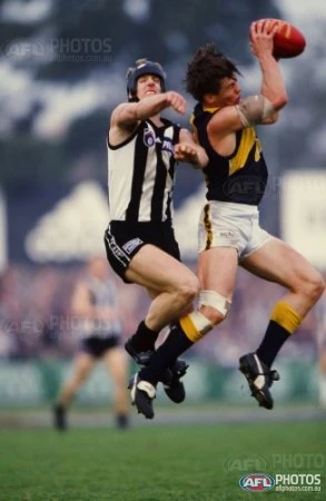 Round 17 1998 | West Coast Eagles Wiki | Fandom