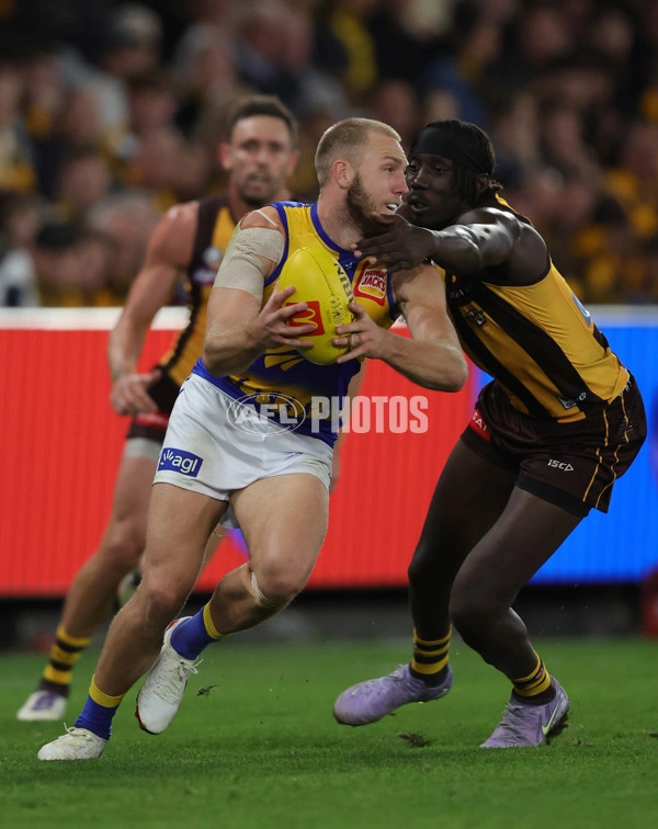 Round 7 2025 | West Coast Eagles Wiki | Fandom
