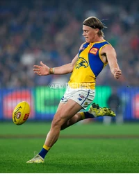 Harley Reid | West Coast Eagles Wiki | Fandom
