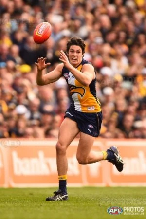 Tom Barrass | West Coast Eagles Wiki | Fandom