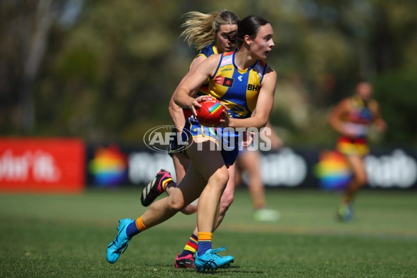 Mackenzie Webb | West Coast Eagles Wiki | Fandom