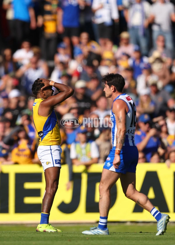 Round 13 2025 | West Coast Eagles Wiki | Fandom