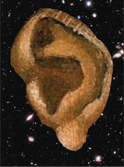 Ear of the Lord | Ears of Destruction Wiki | Fandom