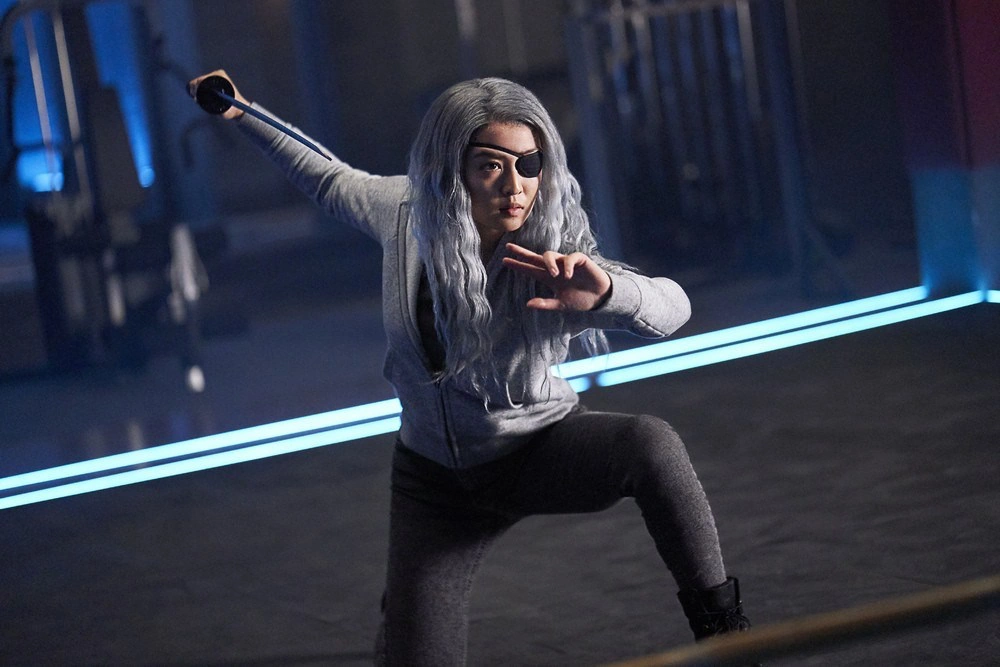 Rose Wilson | The LegendsVerse Wiki | Fandom