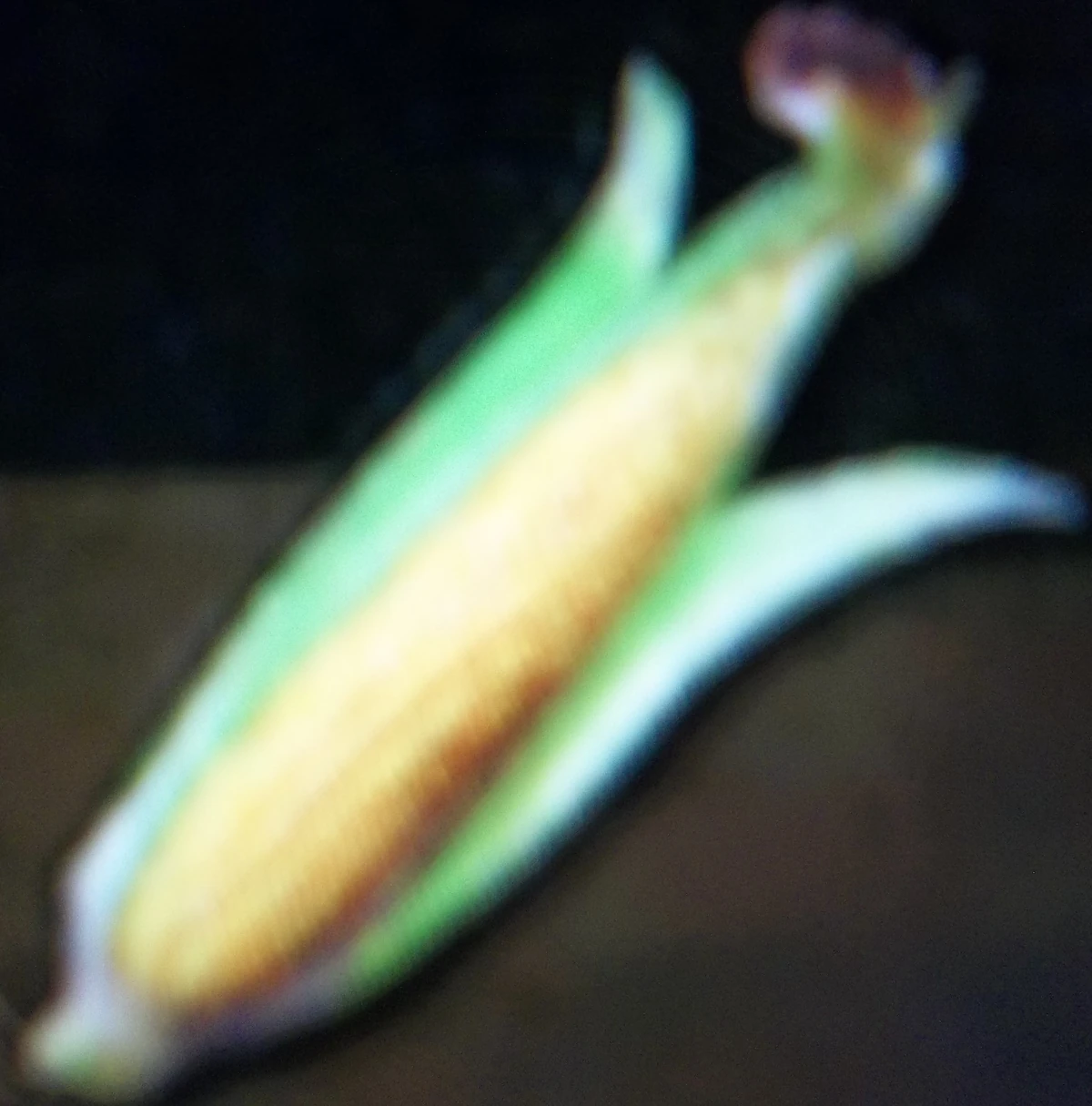 Corn | Earth and Legend Wiki | Fandom