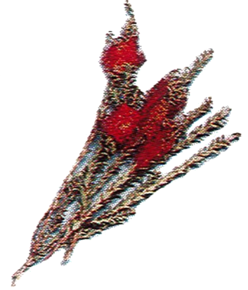 Red Weed | EarthBound Wiki | Fandom