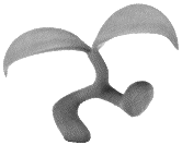 Tough Mobile Sprout | EarthBound Wiki | Fandom