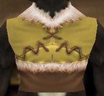 Embroidered Robe | Earth Eternal Wiki | Fandom