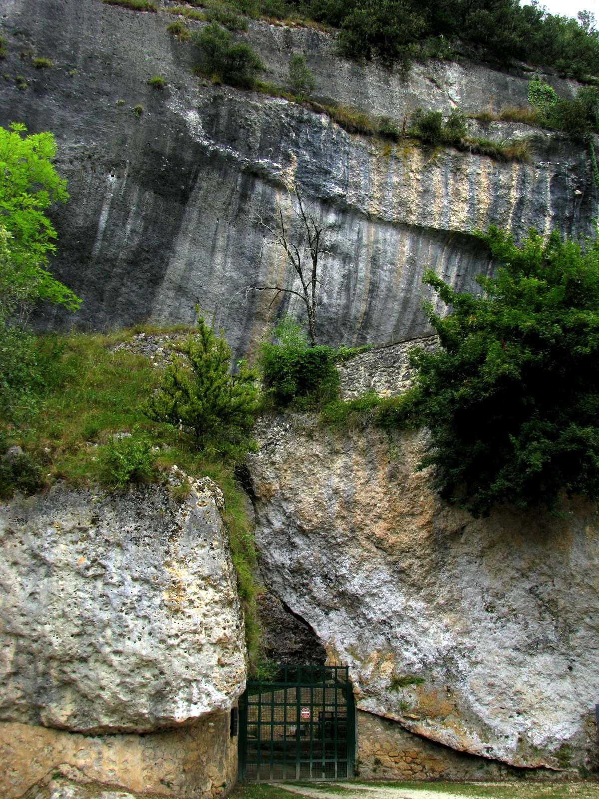 Ninth Cave of the Zelandonii | Earth's Children | Fandom