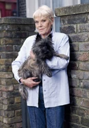 Pauline Fowler - Gallery | EastEnders Wiki | Fandom