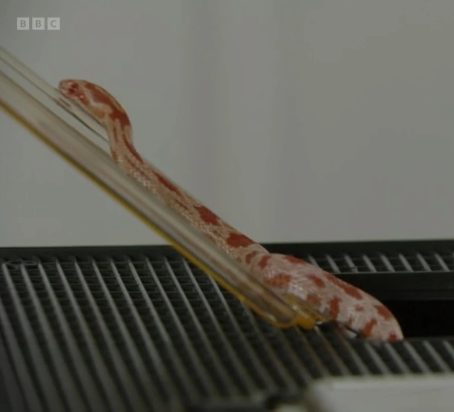 Monty | EastEnders Wiki | Fandom