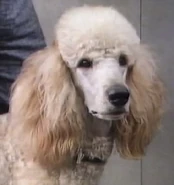 Roly | EastEnders Wiki | Fandom