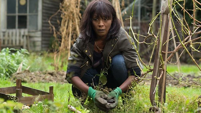 Episode 4965 (25 November 2014) | EastEnders Wiki | Fandom