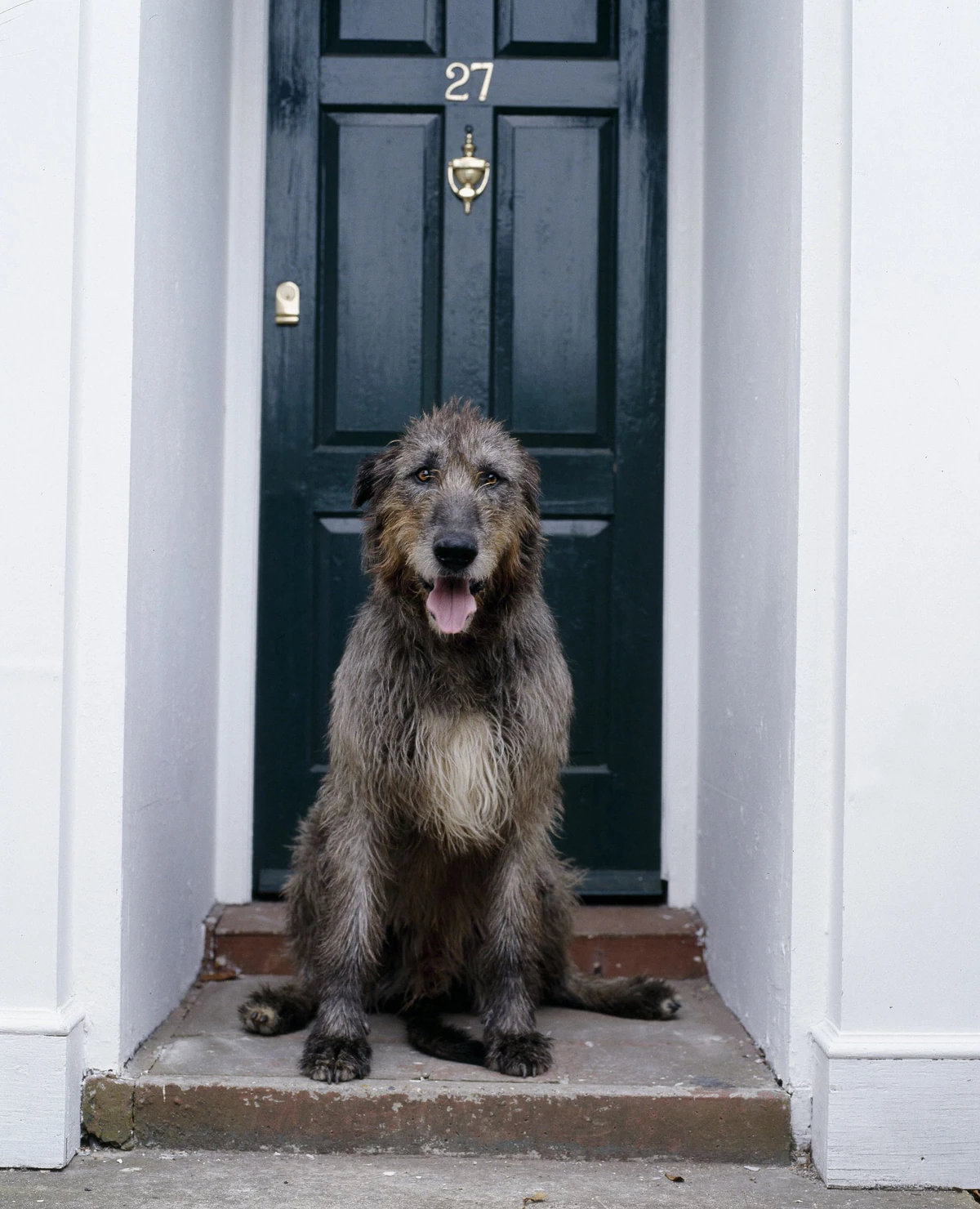 27 Albert Square - Gallery | EastEnders Wiki | Fandom